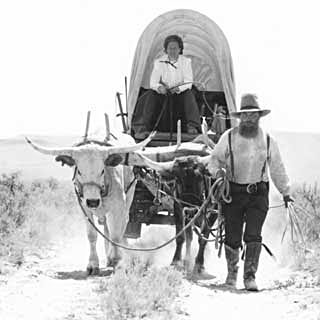 Covered Wagon and Oxen on the Oregon Trail - photo by Gildemeister La ...